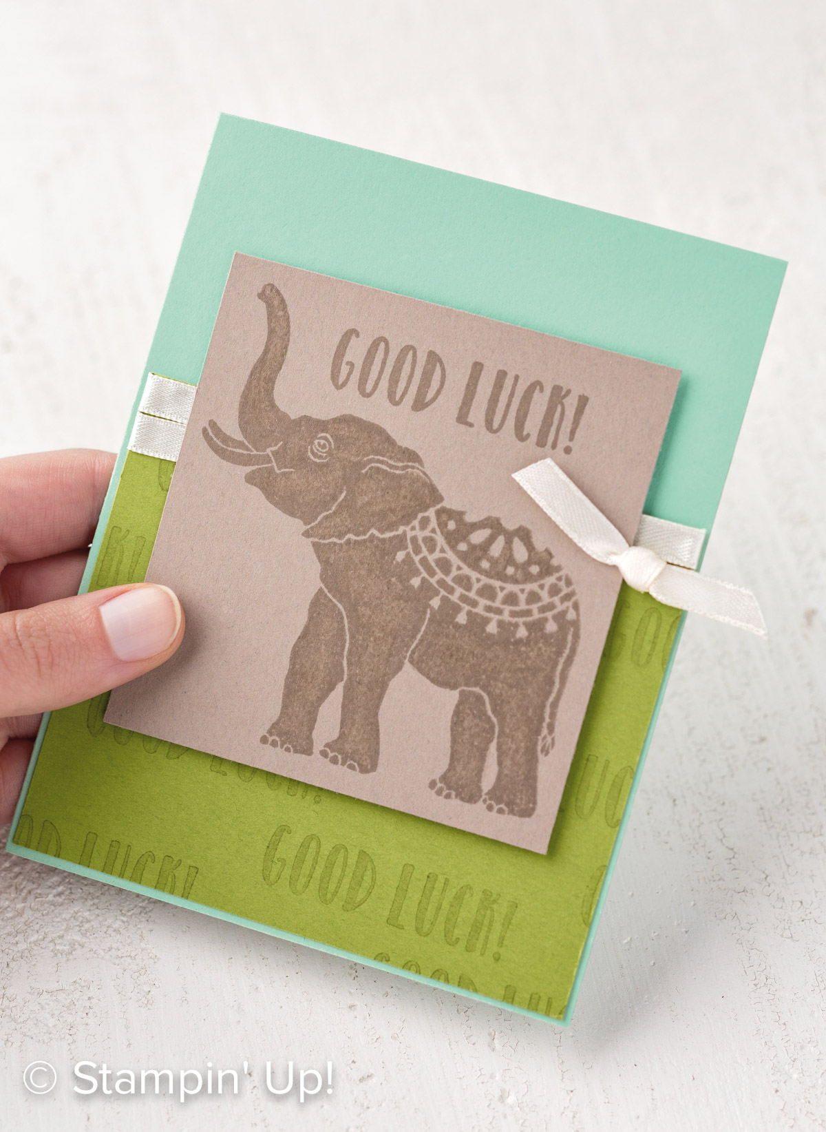 Happy New Year! plus more Occasions Catalogue Sneak Peeks! – Hand ...